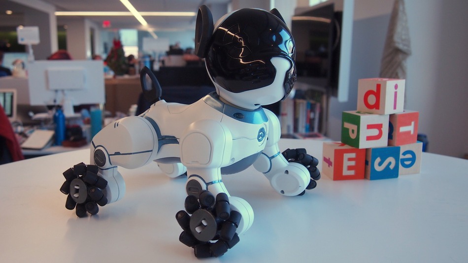 CHiP is the latest robot dog looking to leash your heart - Techionix